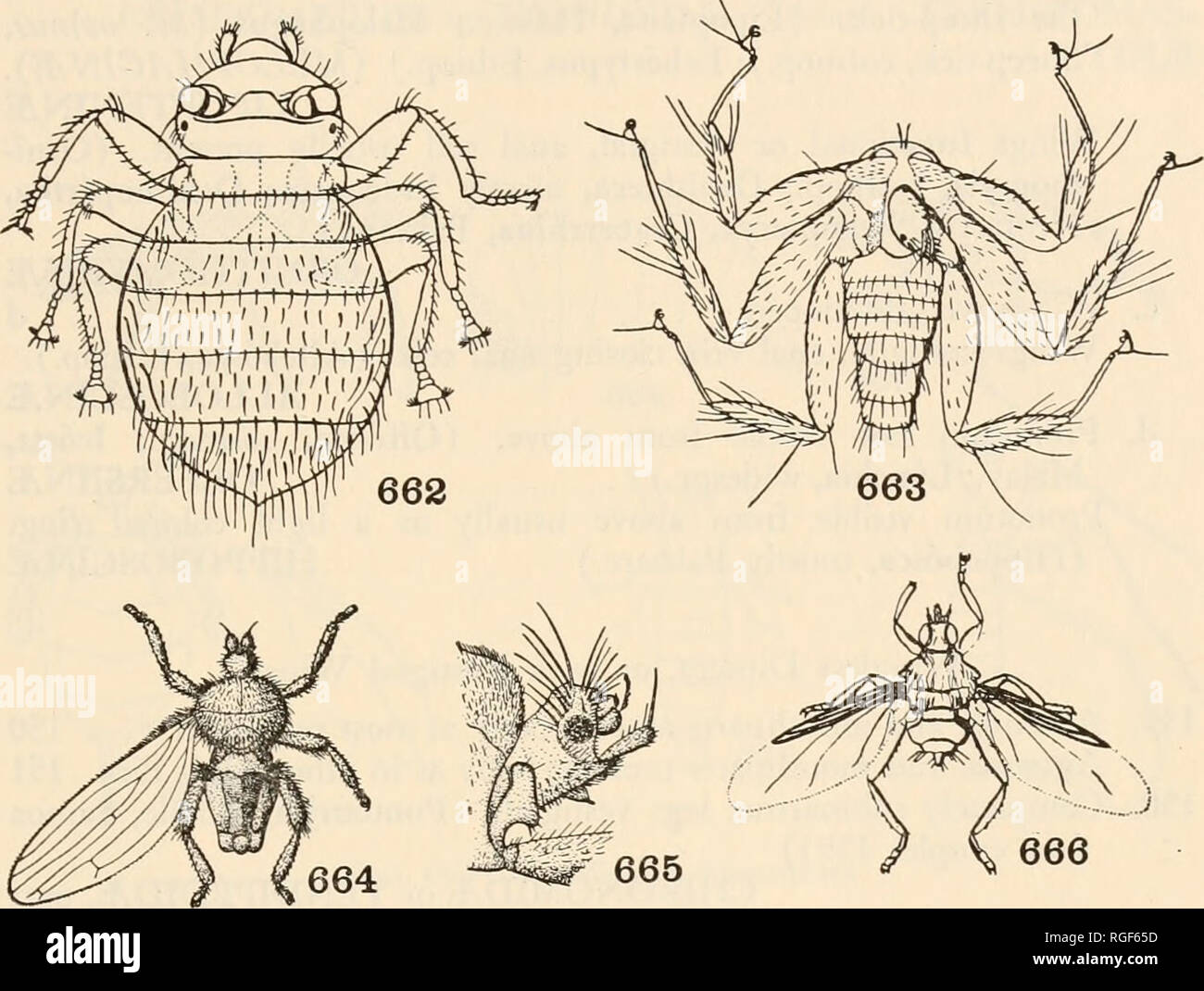 . Bulletin of the Museum of Comparative Zoology at Harvard College ...