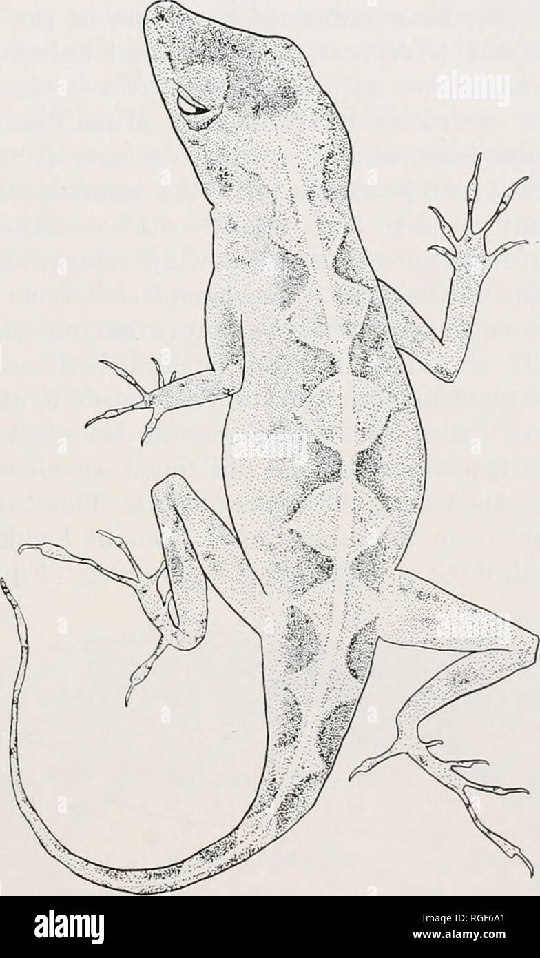 . Bulletin of the Museum of Comparative Zoology at Harvard College ...