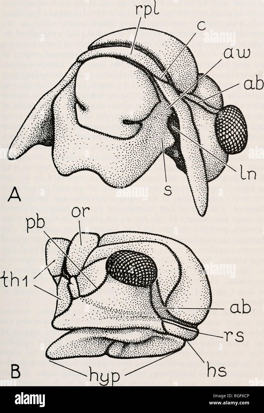 . Bulletin of the Museum of Comparative Zoology at Harvard College ...