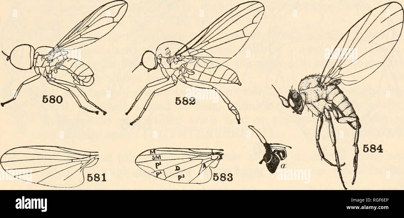 Movably attached hi-res stock photography and images - Alamy