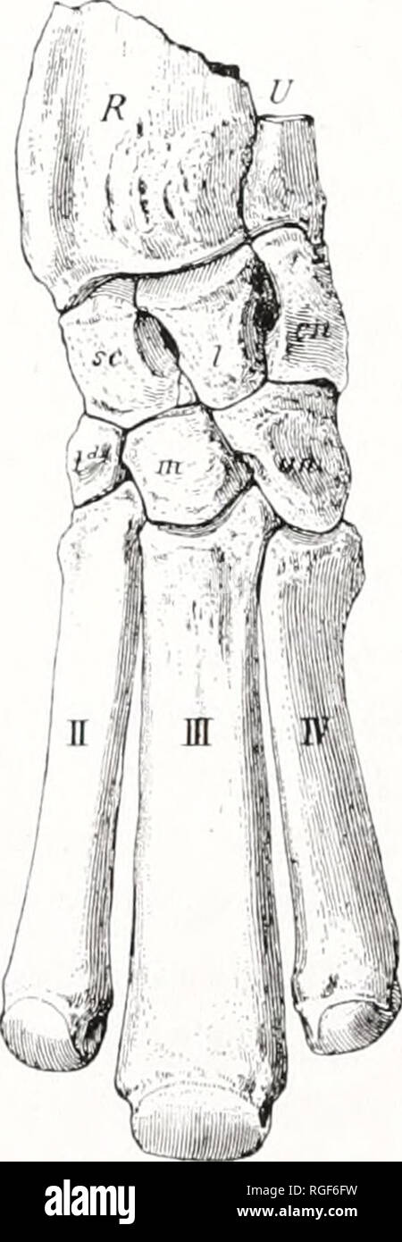 Comparative measurements hi-res stock photography and images - Alamy