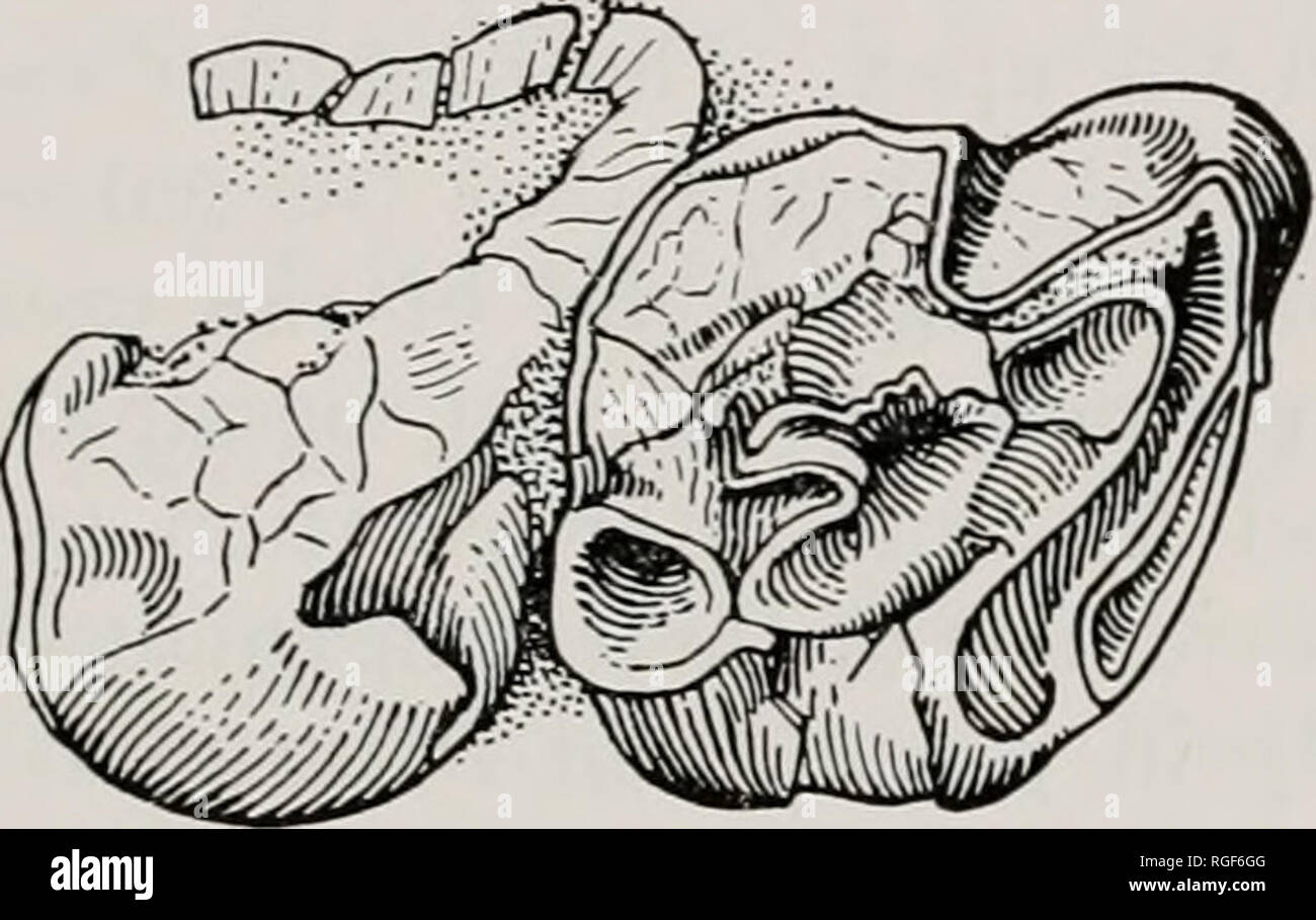 45930 hi-res stock photography and images - Alamy