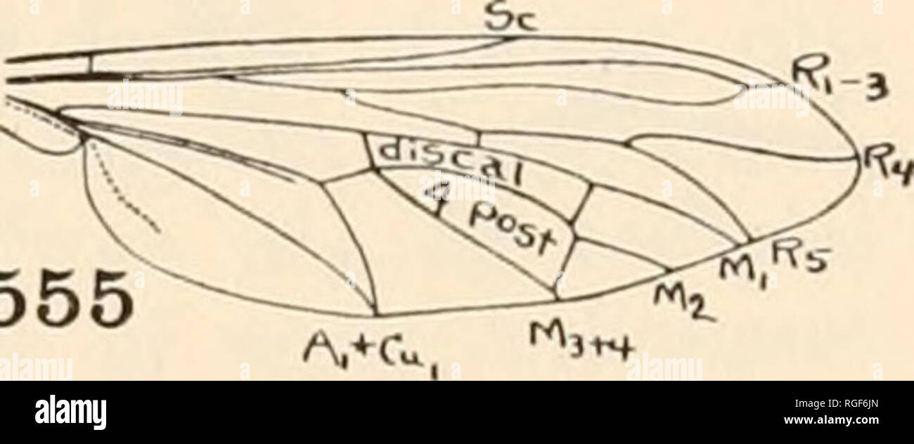 . Bulletin of the Museum of Comparative Zoology at Harvard College ...
