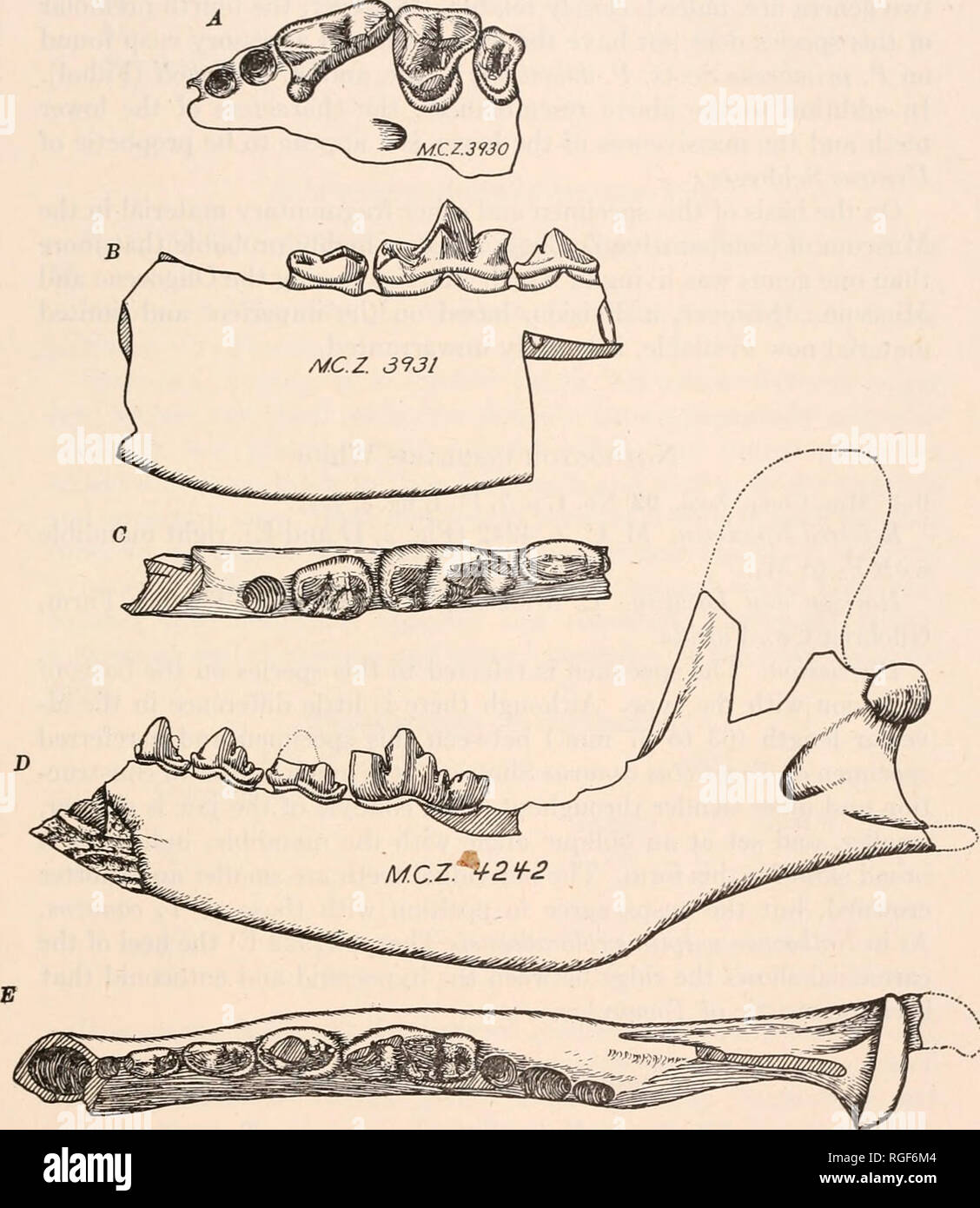 . Bulletin of the Museum of Comparative Zoology at Harvard College ...