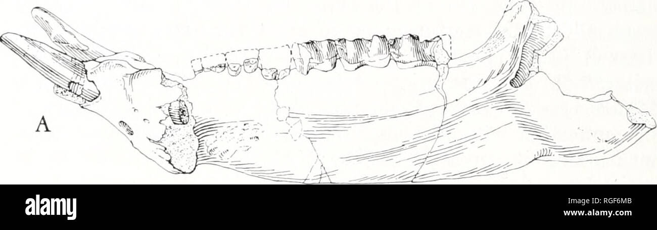 . Bulletin of the Museum of Comparative Zoology at Harvard College ...