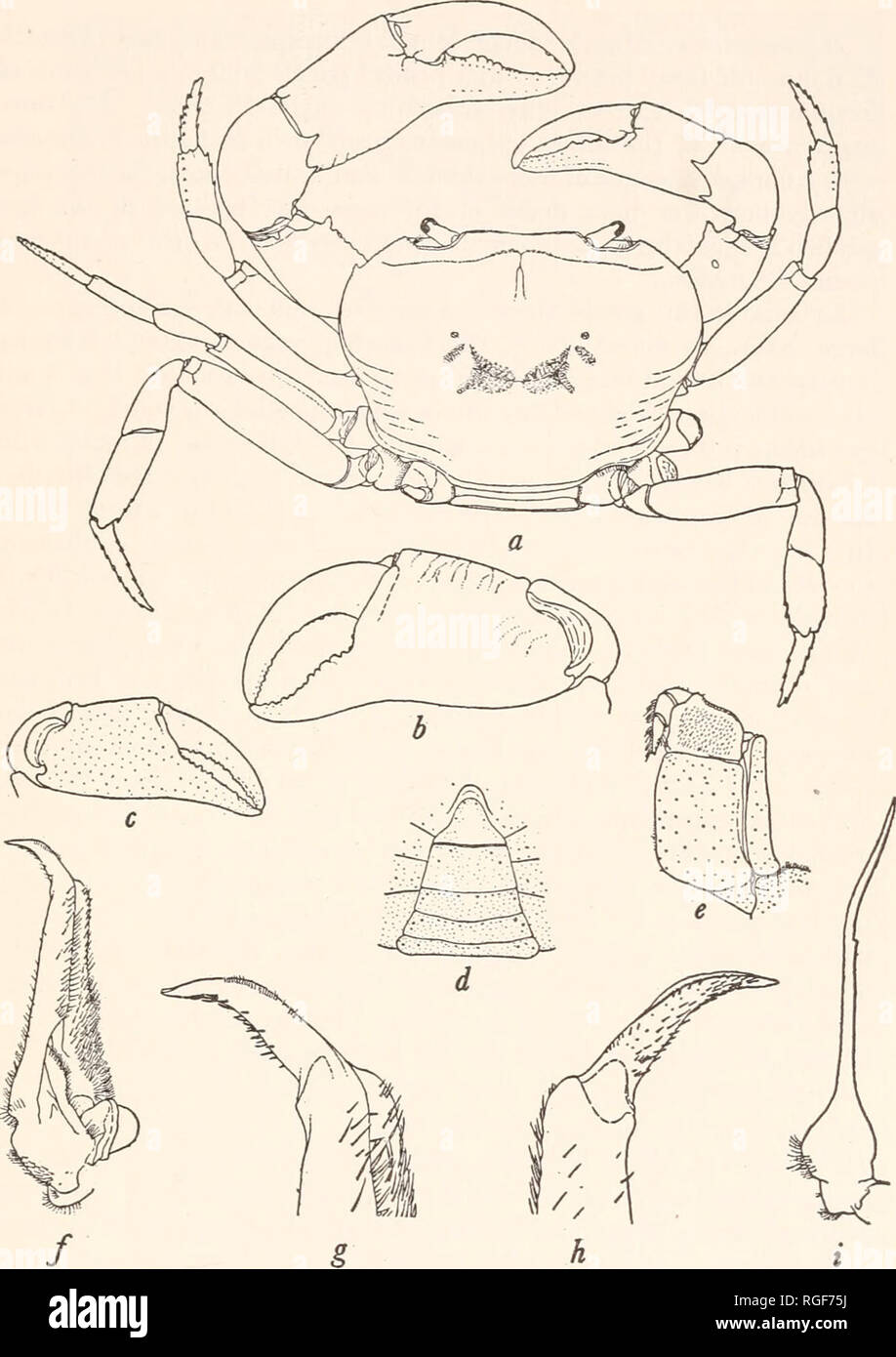 . Bulletin of the Museum of Comparative Zoology at Harvard College ...