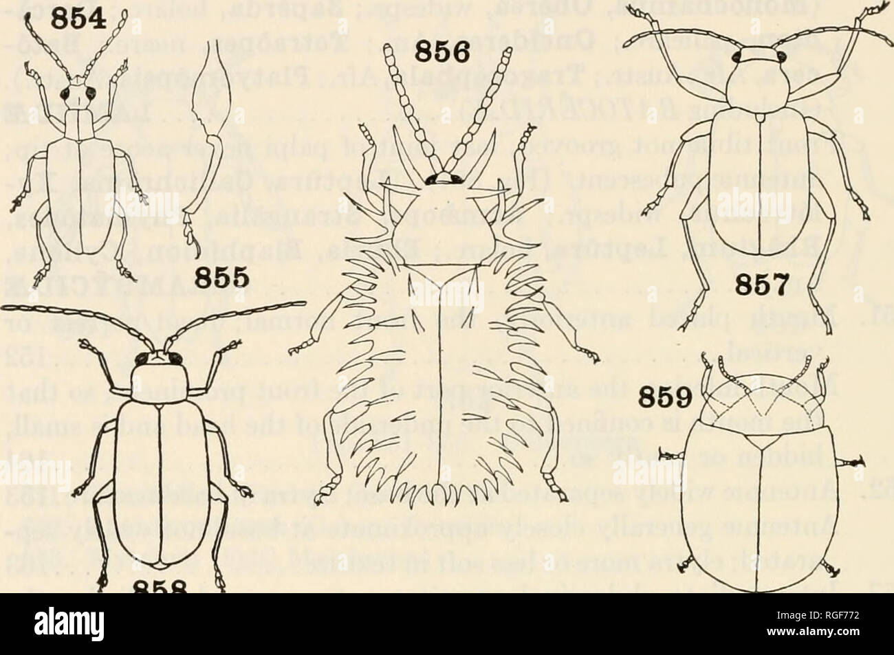 . Bulletin of the Museum of Comparative Zoology at Harvard College ...