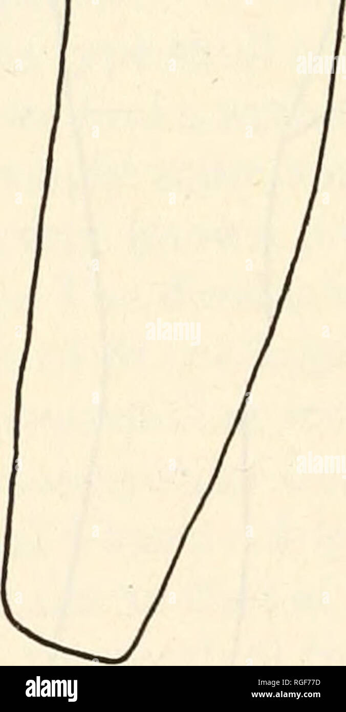 . Bulletin of the Museum of Comparative Zoology at Harvard College ...