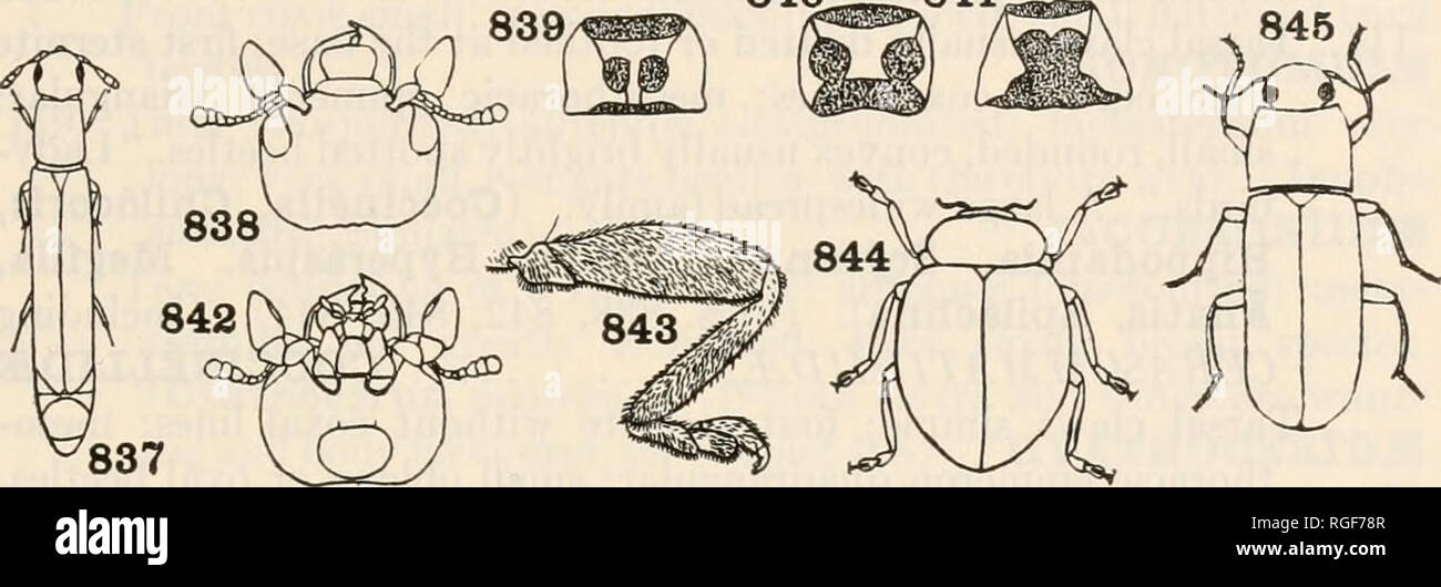 . Bulletin of the Museum of Comparative Zoology at Harvard College ...