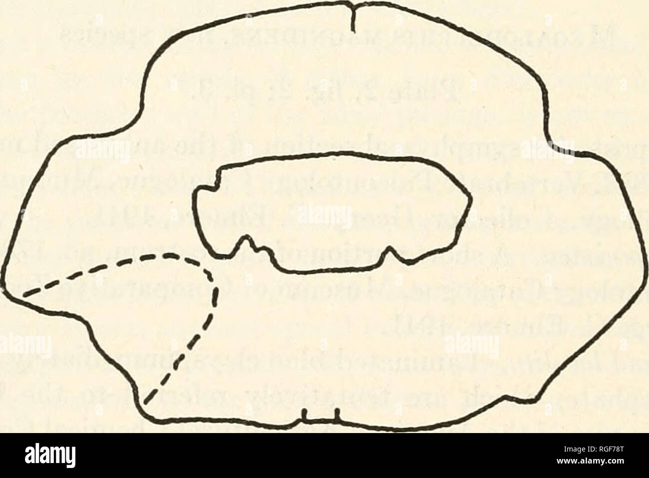 . Bulletin of the Museum of Comparative Zoology at Harvard College ...