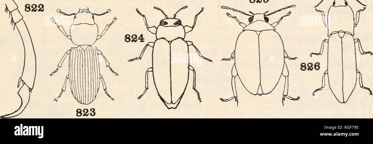 . Bulletin of the Museum of Comparative Zoology at Harvard College ...