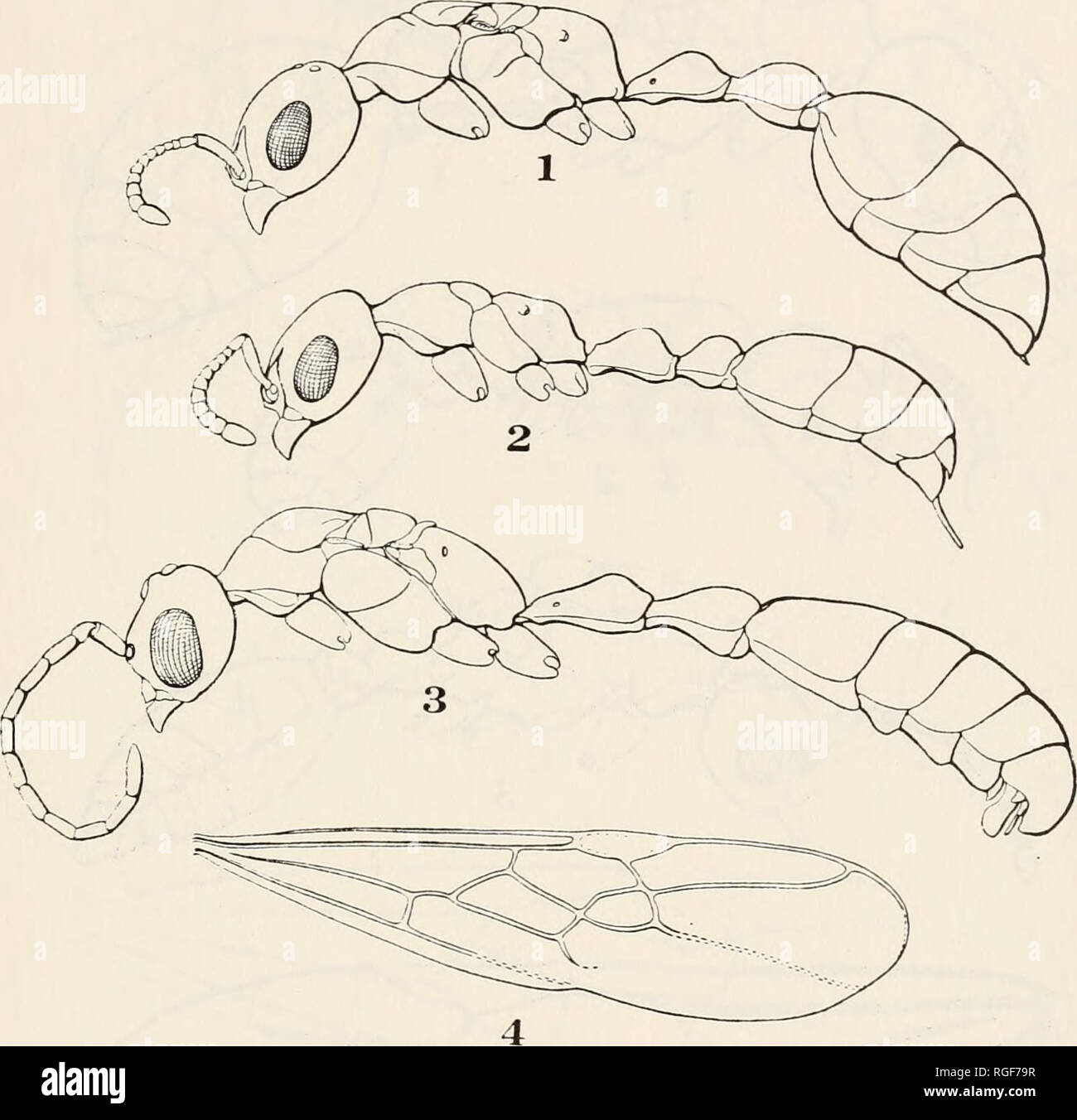 . Bulletin of the Museum of Comparative Zoology at Harvard College ...
