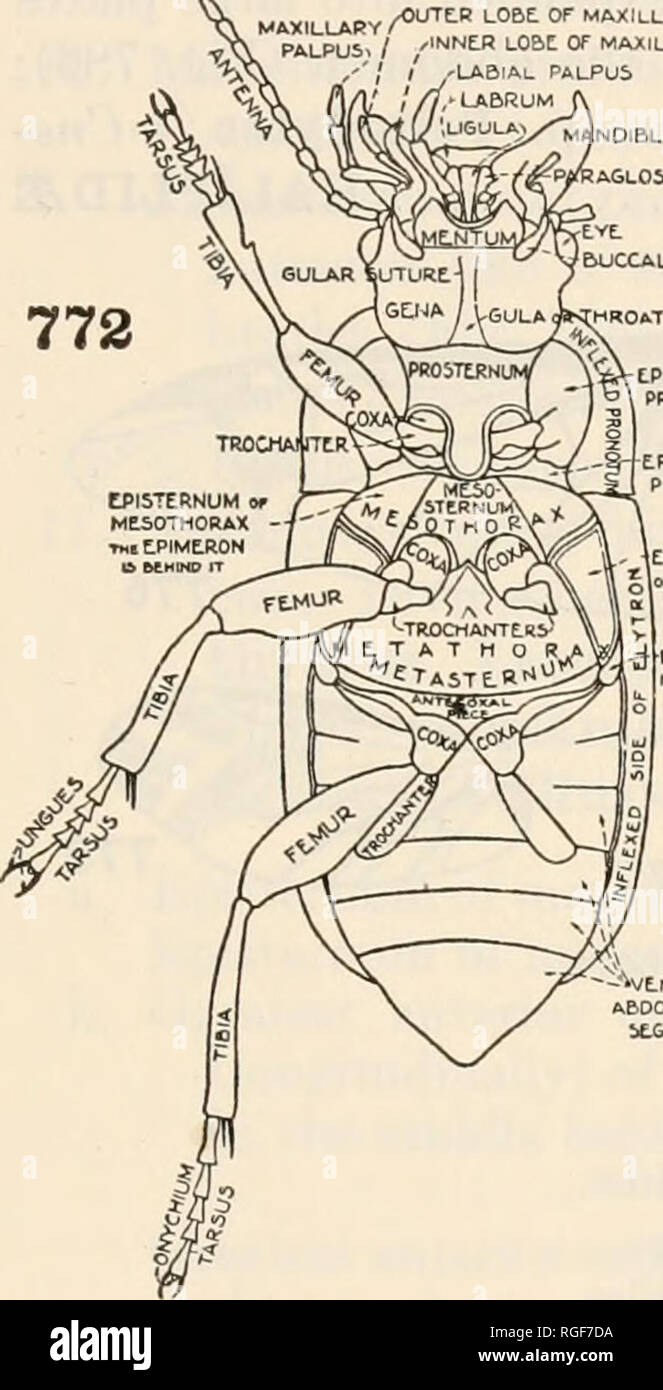 . Bulletin of the Museum of Comparative Zoology at Harvard College ...