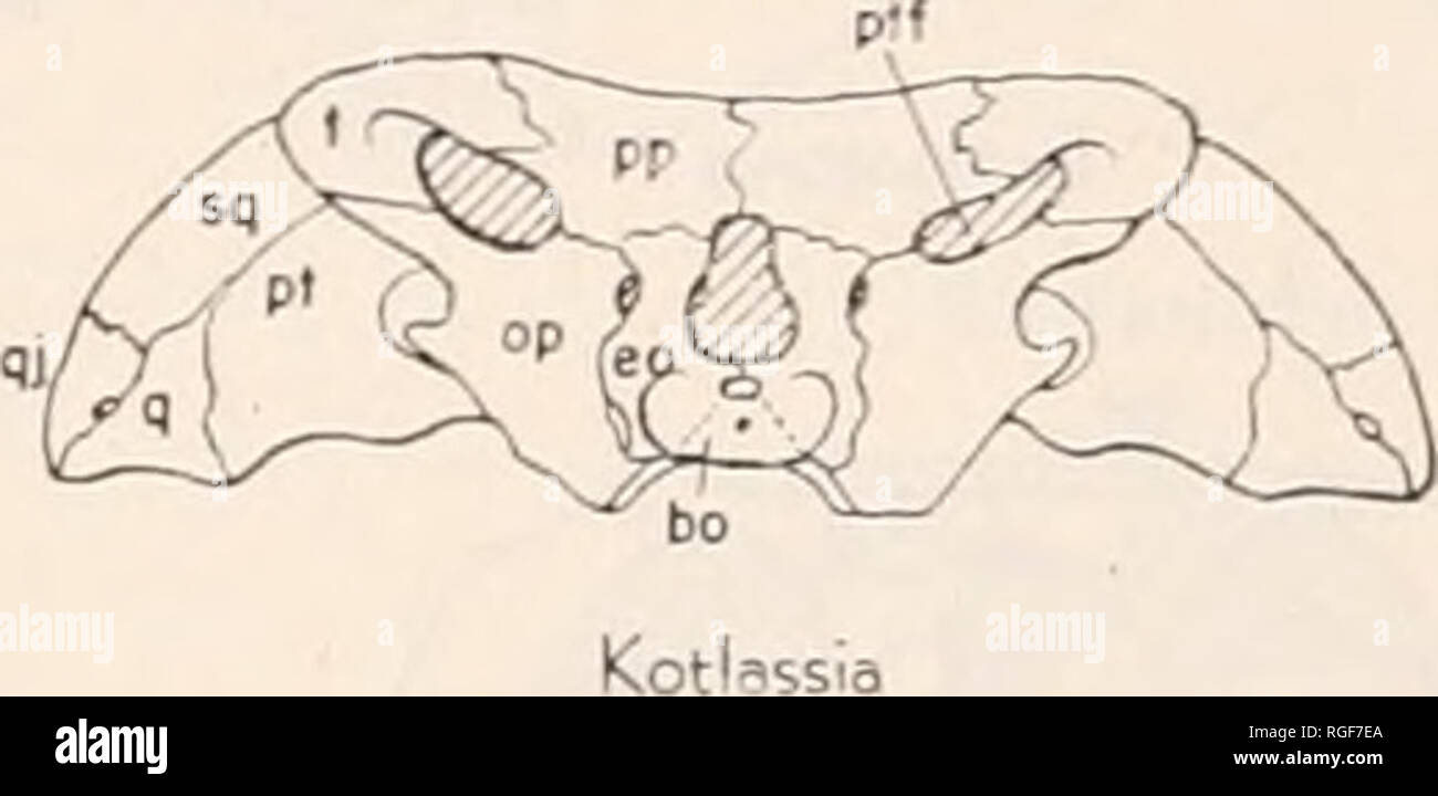 . Bulletin of the Museum of Comparative Zoology at Harvard College ...