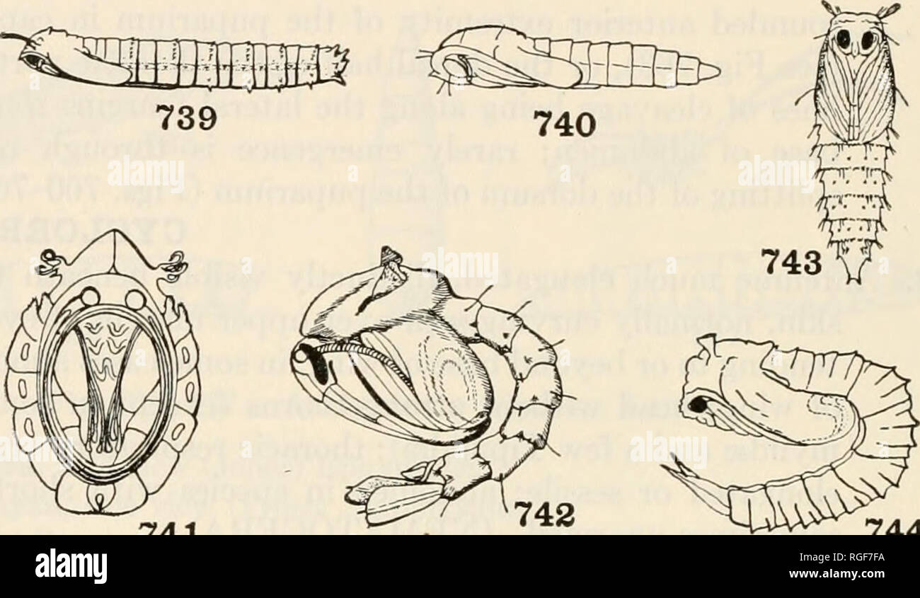 . Bulletin of the Museum of Comparative Zoology at Harvard College ...
