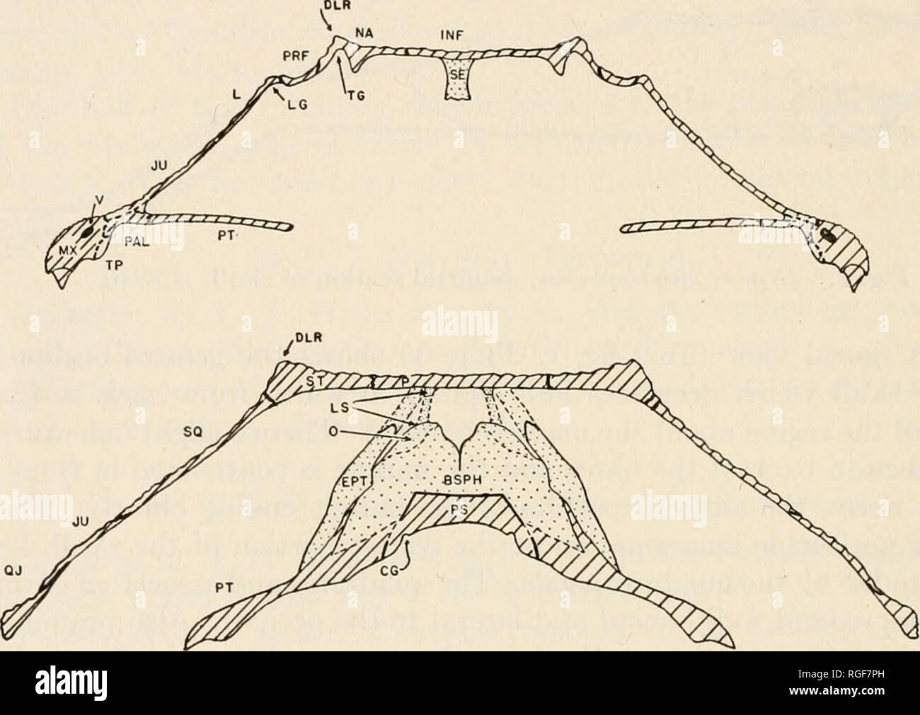 . Bulletin of the Museum of Comparative Zoology at Harvard College ...
