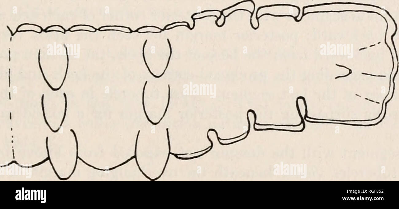 Strongly convex disc hi-res stock photography and images - Alamy