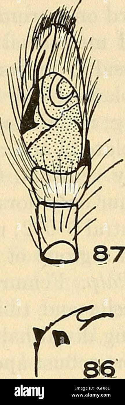 . Bulletin of the Museum of Comparative Zoology at Harvard College ...