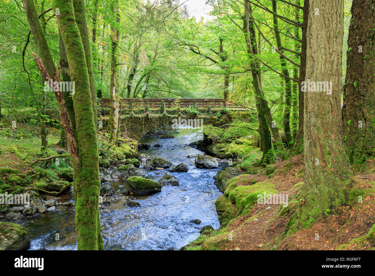 Old stone bridge over Scottish stream Stock Photo - Alamy