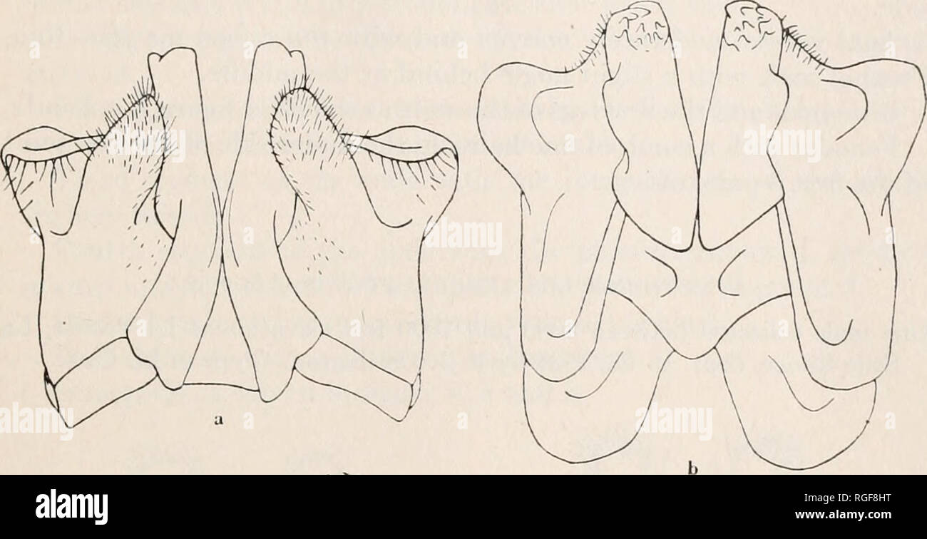 Loomis museum hi-res stock photography and images - Alamy