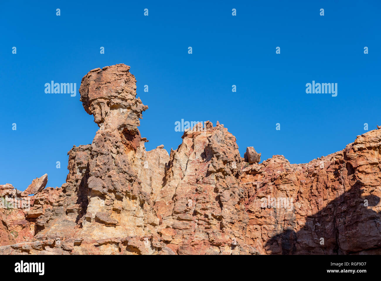 Human head formation hi-res stock photography and images - Alamy