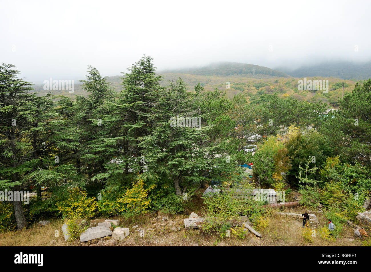 Soviet era tourist camp hi-res stock photography and images - Alamy