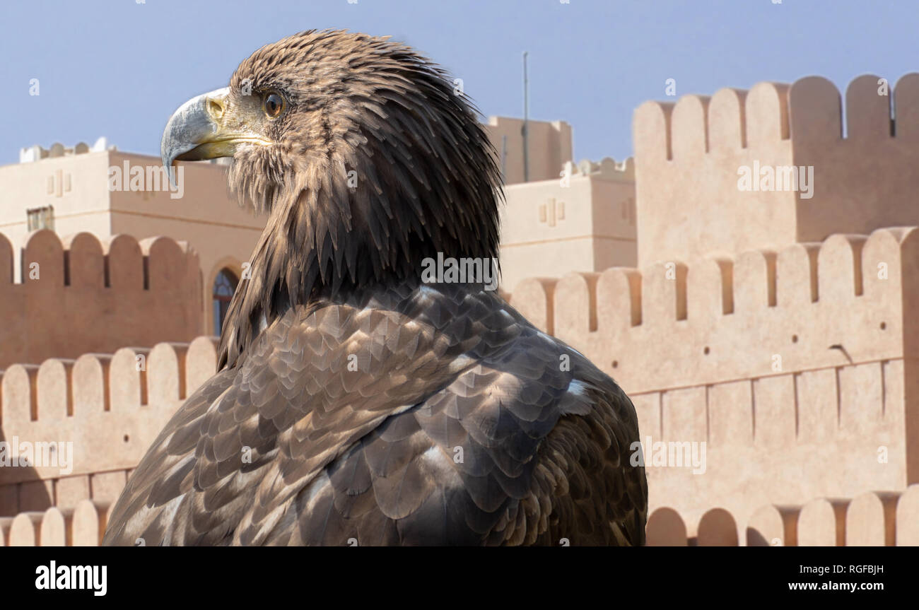 Oman fotos hi-res stock photography and images - Alamy