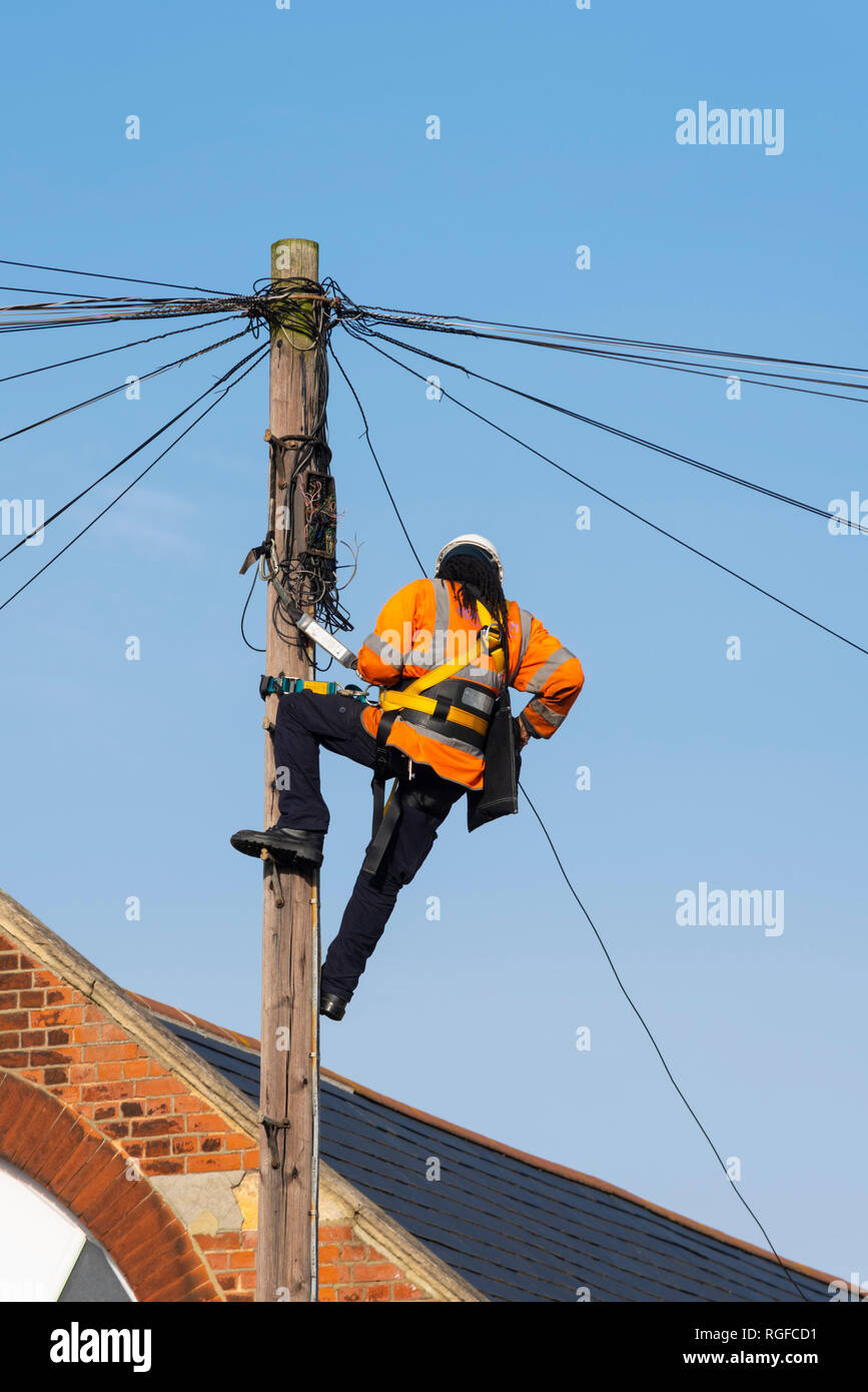 Telecom engineer working on box near the top of a telegraph pole. BT ...