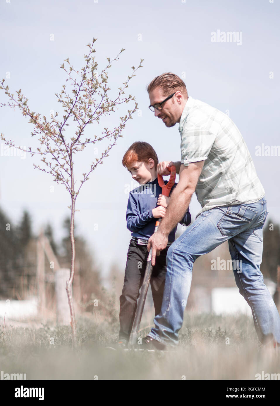 son and father plant a tree together Stock Photo - Alamy