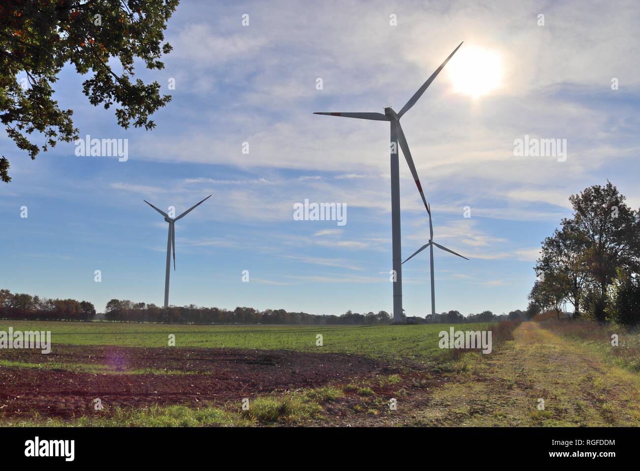 Wind mills in a alternative energy wind park in northern germany Stock ...
