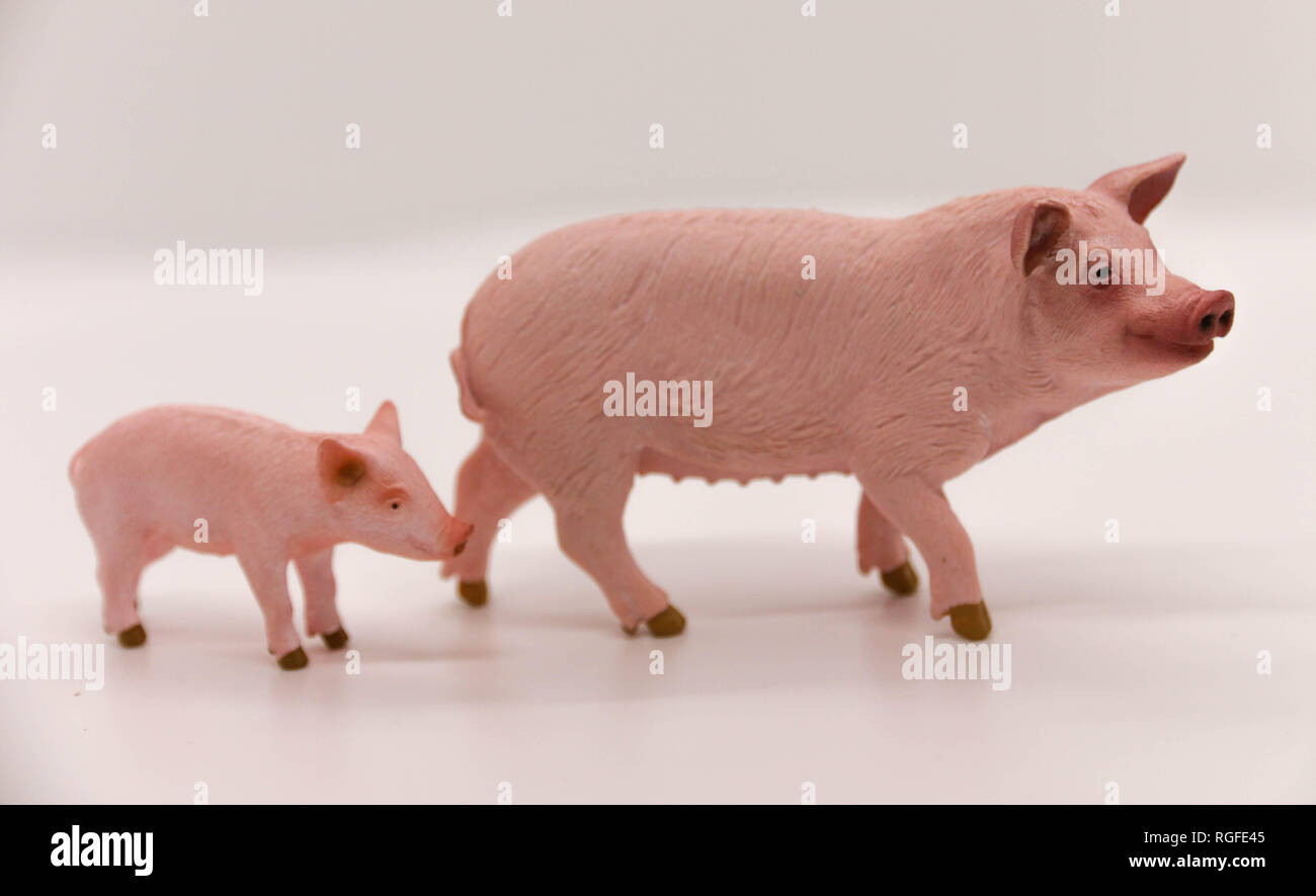 Plastic pig figure hi-res stock photography and images - Alamy