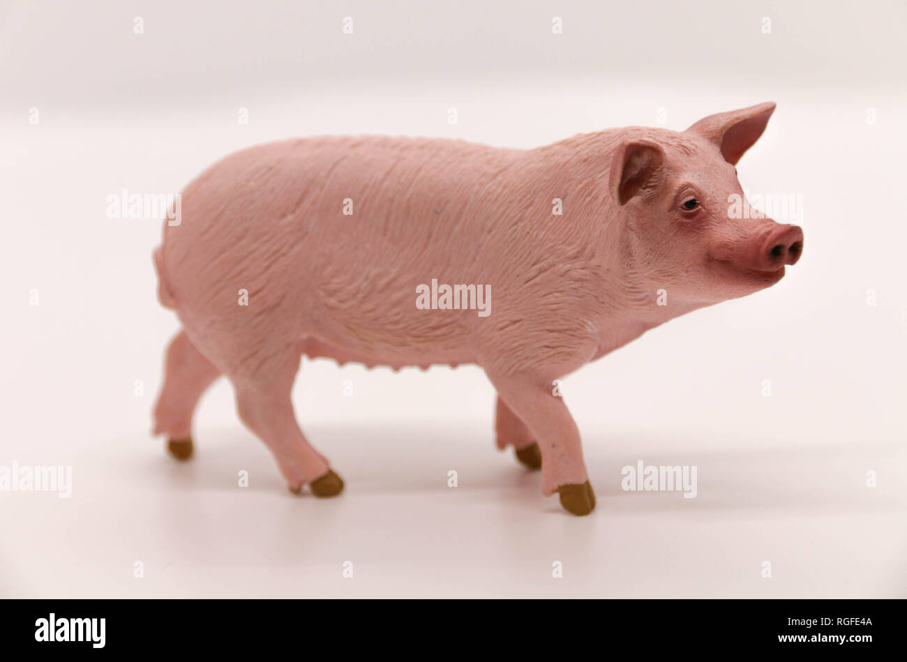 Plastic pig hi-res stock photography and images - Alamy