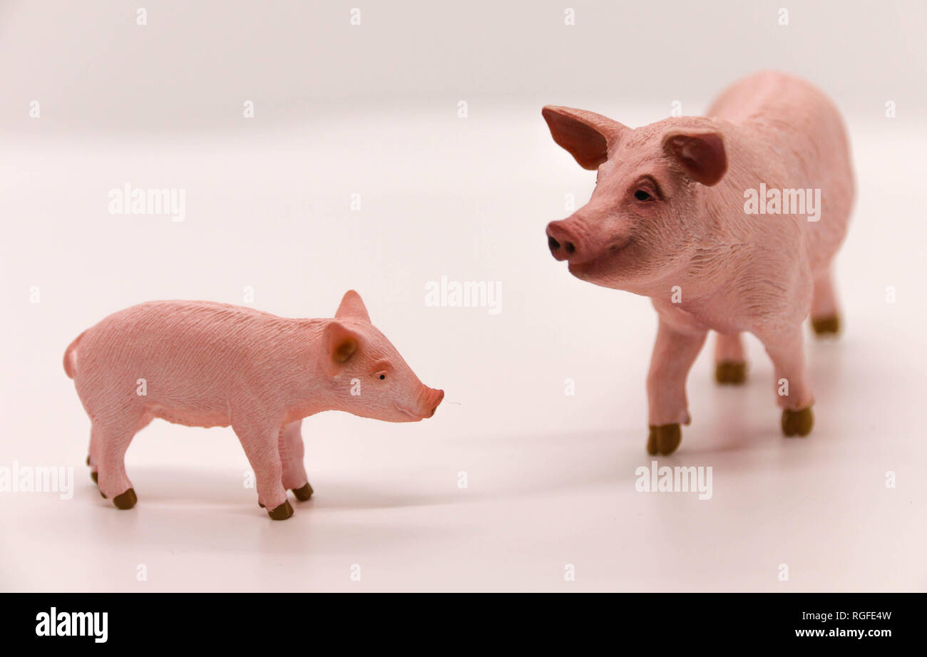 Pig lifelike sculpture figure Stock Photo - Alamy