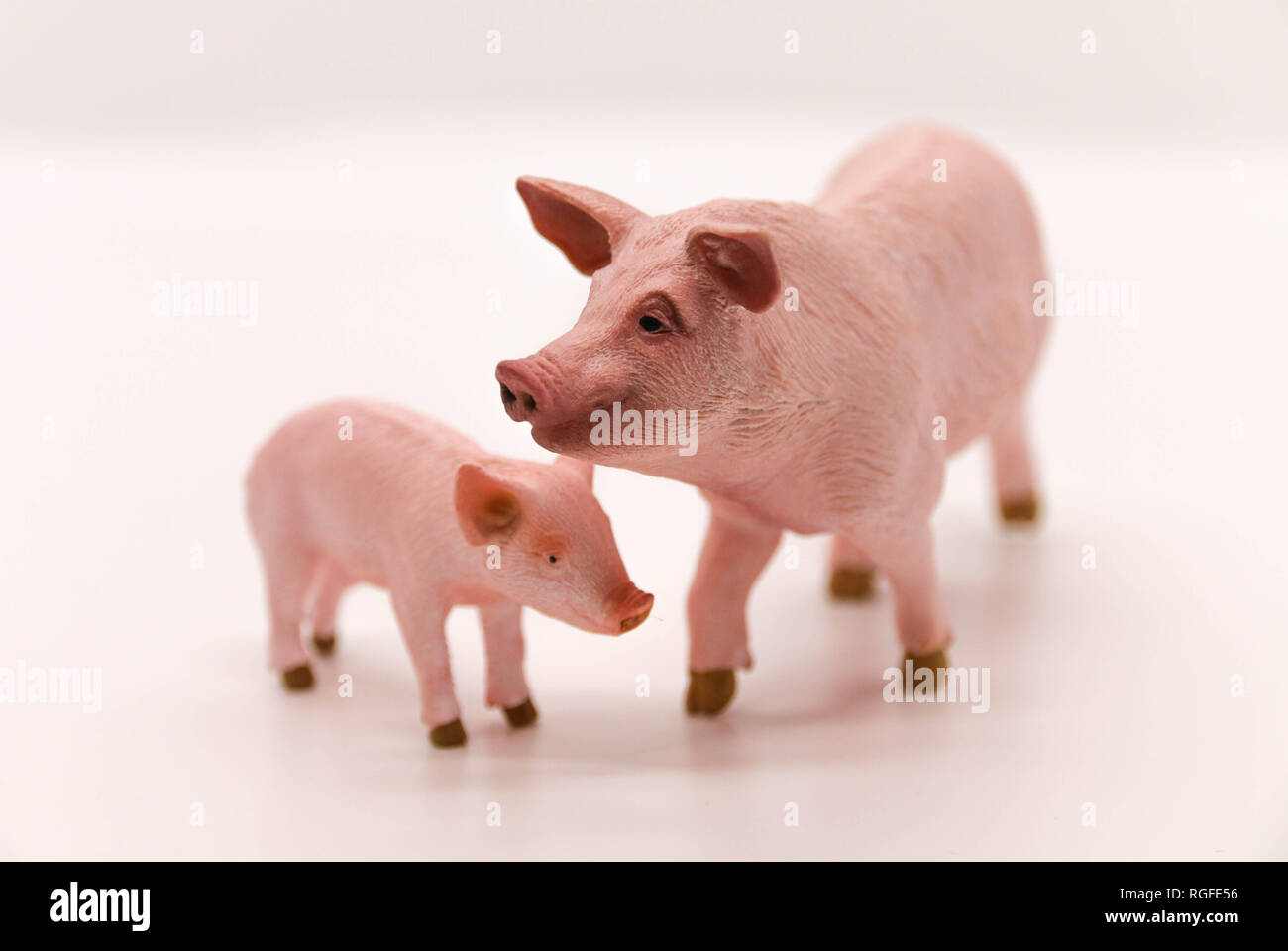 Pig lifelike sculpture figure Stock Photo - Alamy