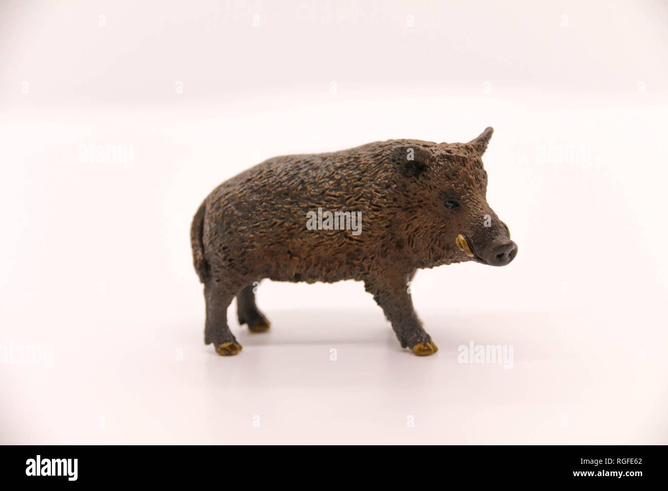 Wild boar figure hi-res stock photography and images - Alamy