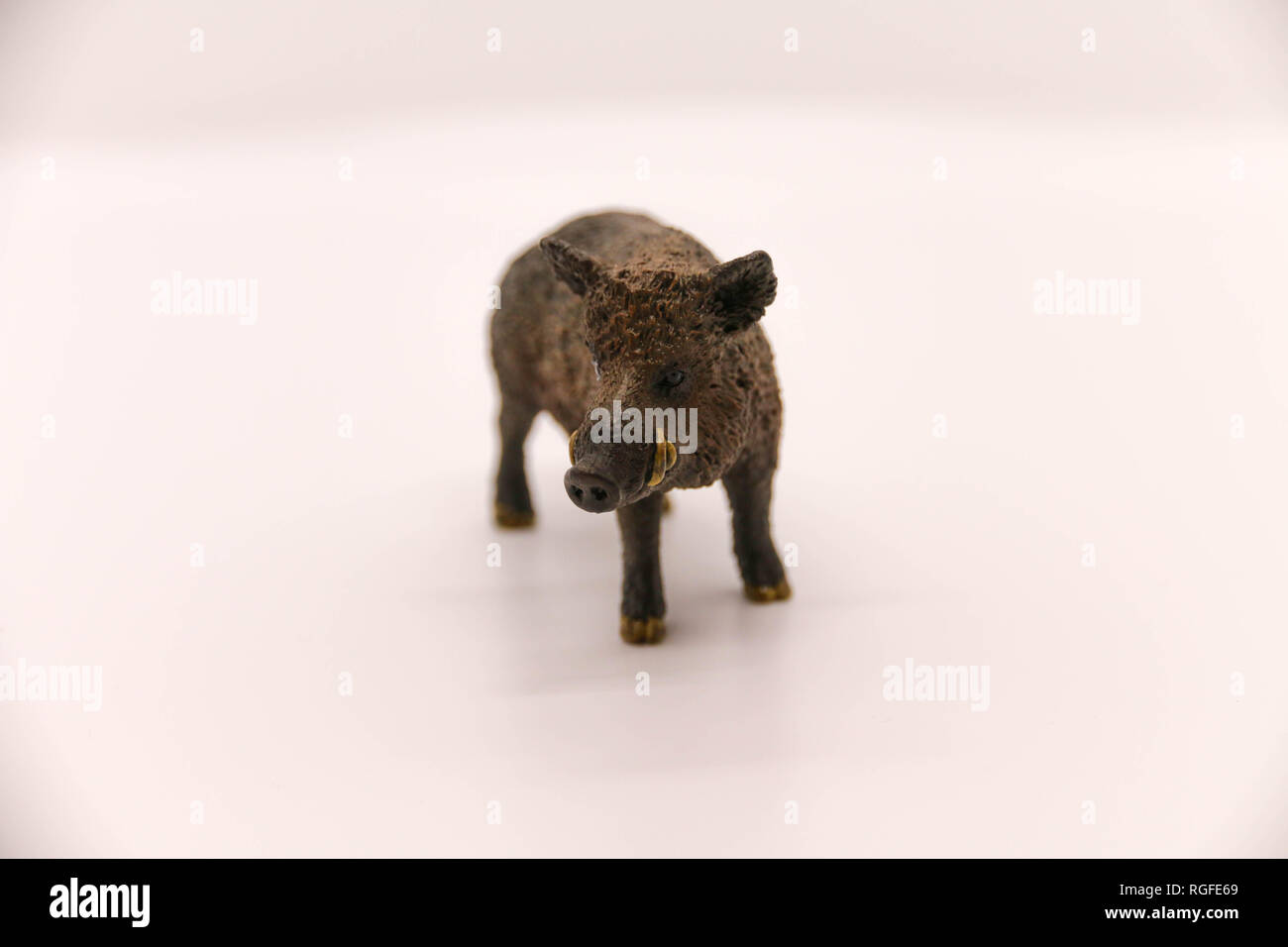 Boar lifelike sculpture figure Stock Photo - Alamy