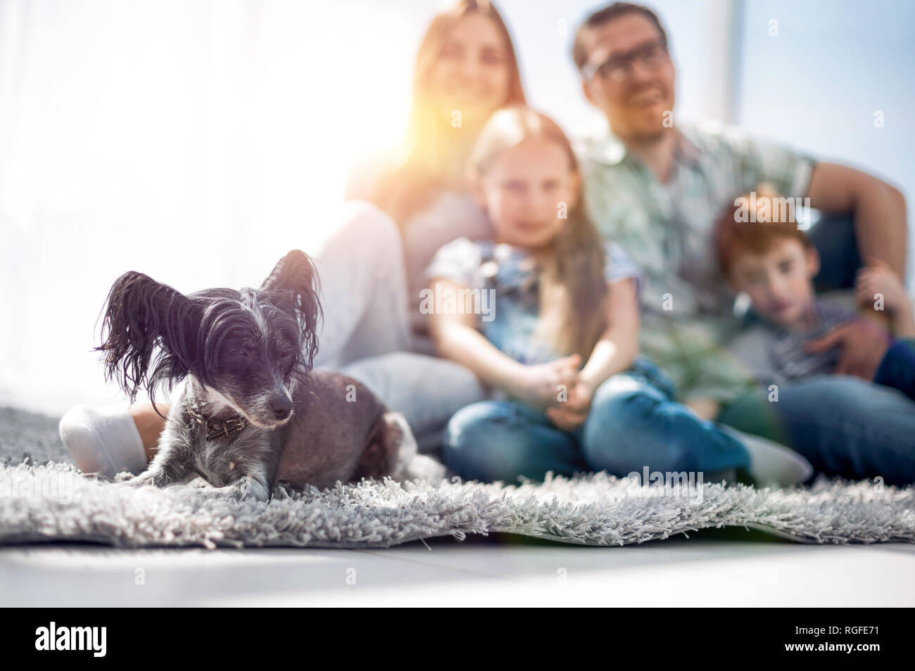 background image of happy family with pet Stock Photo - Alamy
