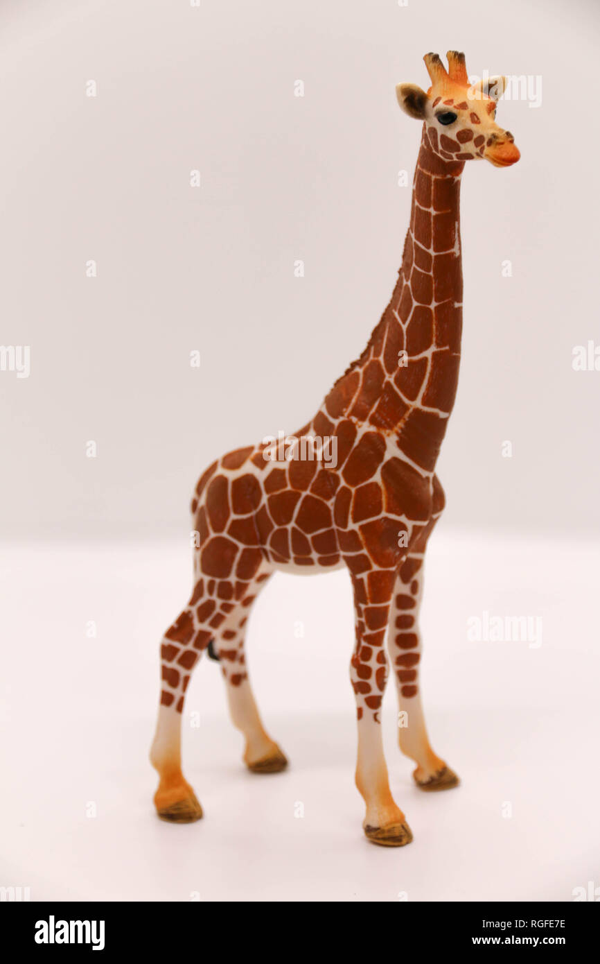 Plastic giraffe hi-res stock photography and images - Alamy