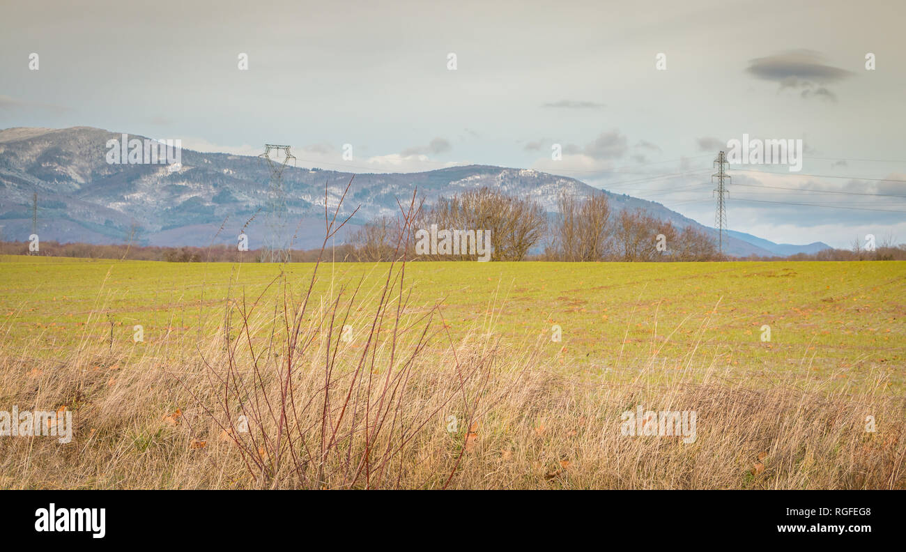 Alsace vineyard winter hi-res stock photography and images - Alamy
