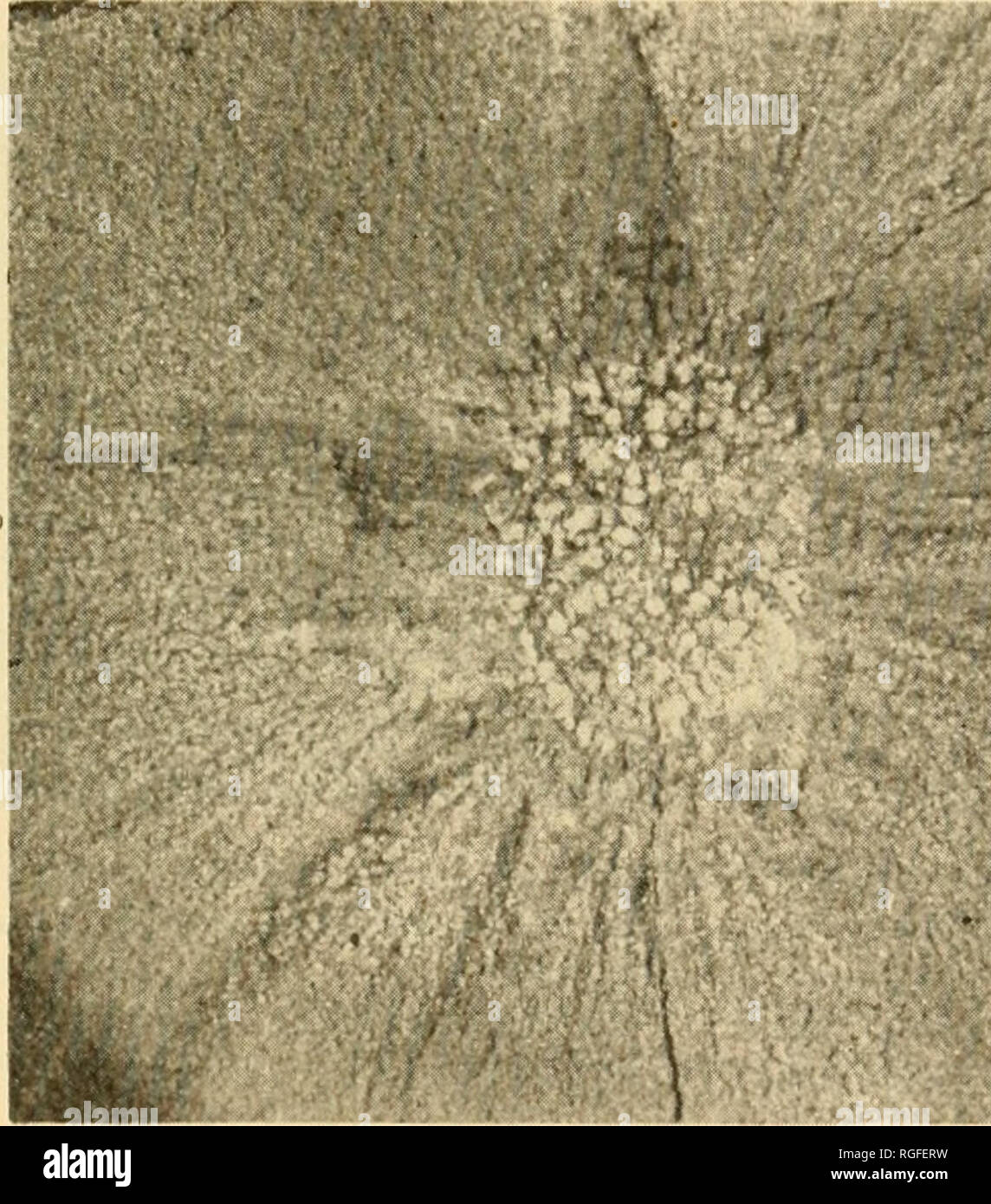 Diagonal relative hi-res stock photography and images - Alamy