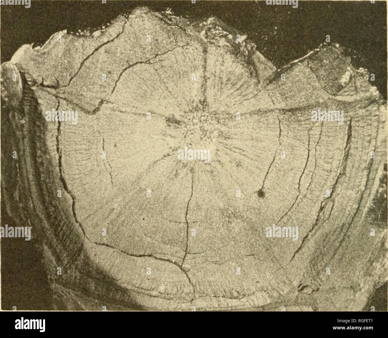 . Bulletin of the Geological Society of America. Geology; Geology ...