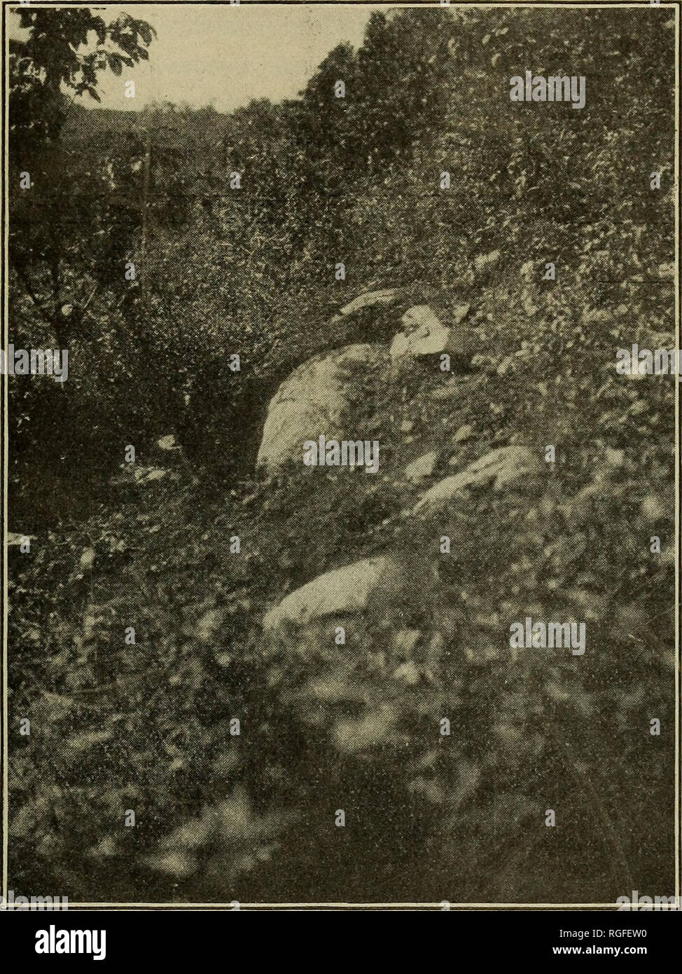 Oxfordian kimmeridgian hi-res stock photography and images - Alamy