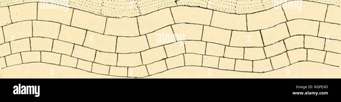 Shaly sandstone hi-res stock photography and images - Alamy