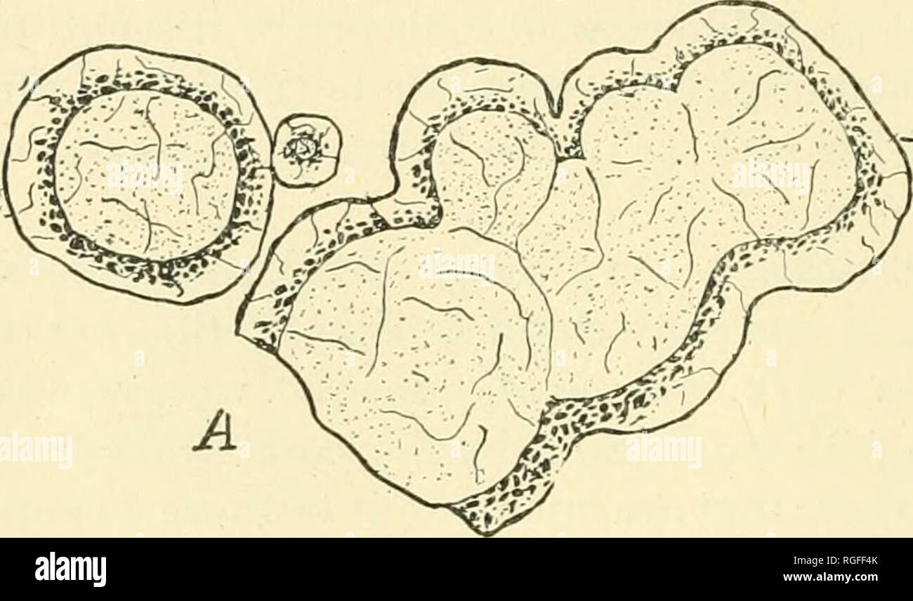 Iron oxide mineral stains hi-res stock photography and images - Alamy