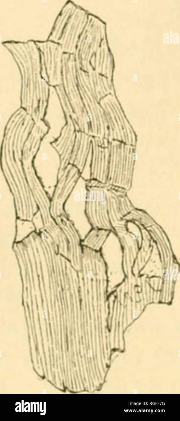 Glass inclusions hi-res stock photography and images - Alamy