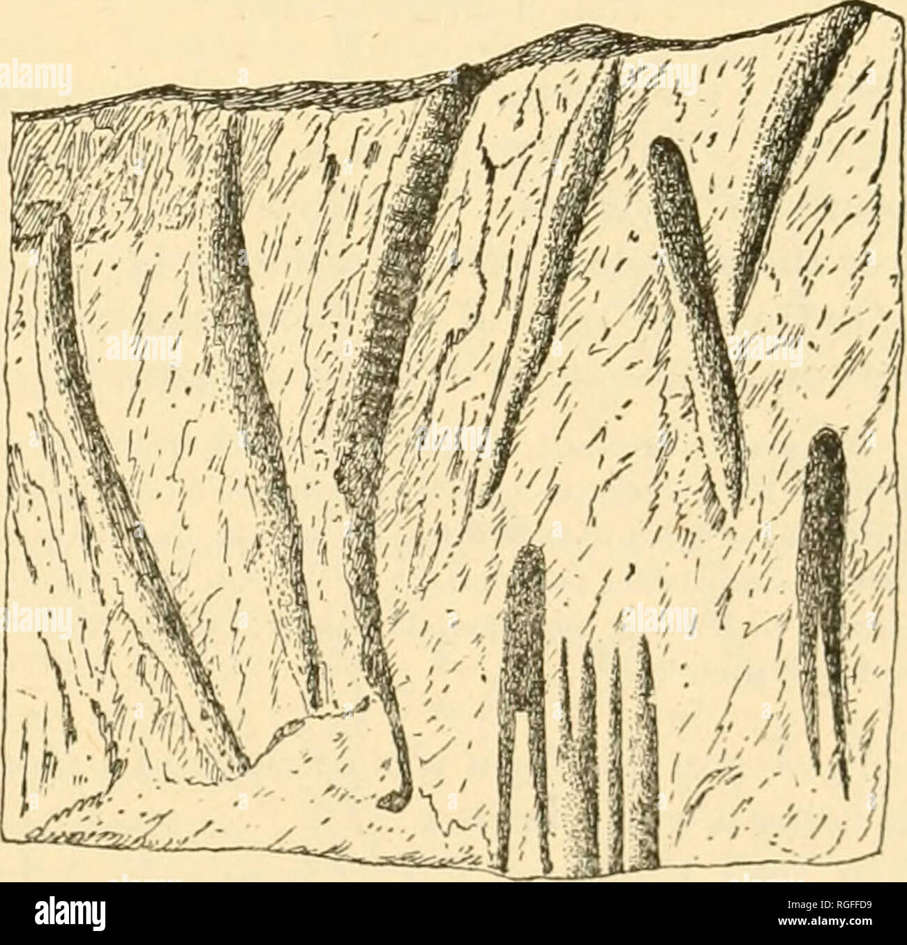 . Bulletin of the Geological Society of America. Geology; Geology ...