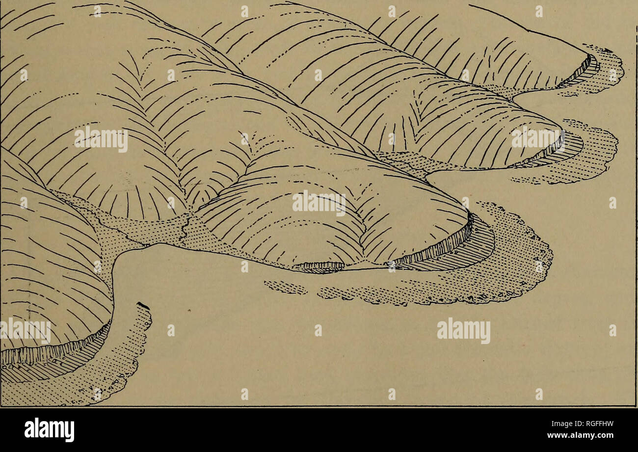 Spur reef hi-res stock photography and images - Alamy