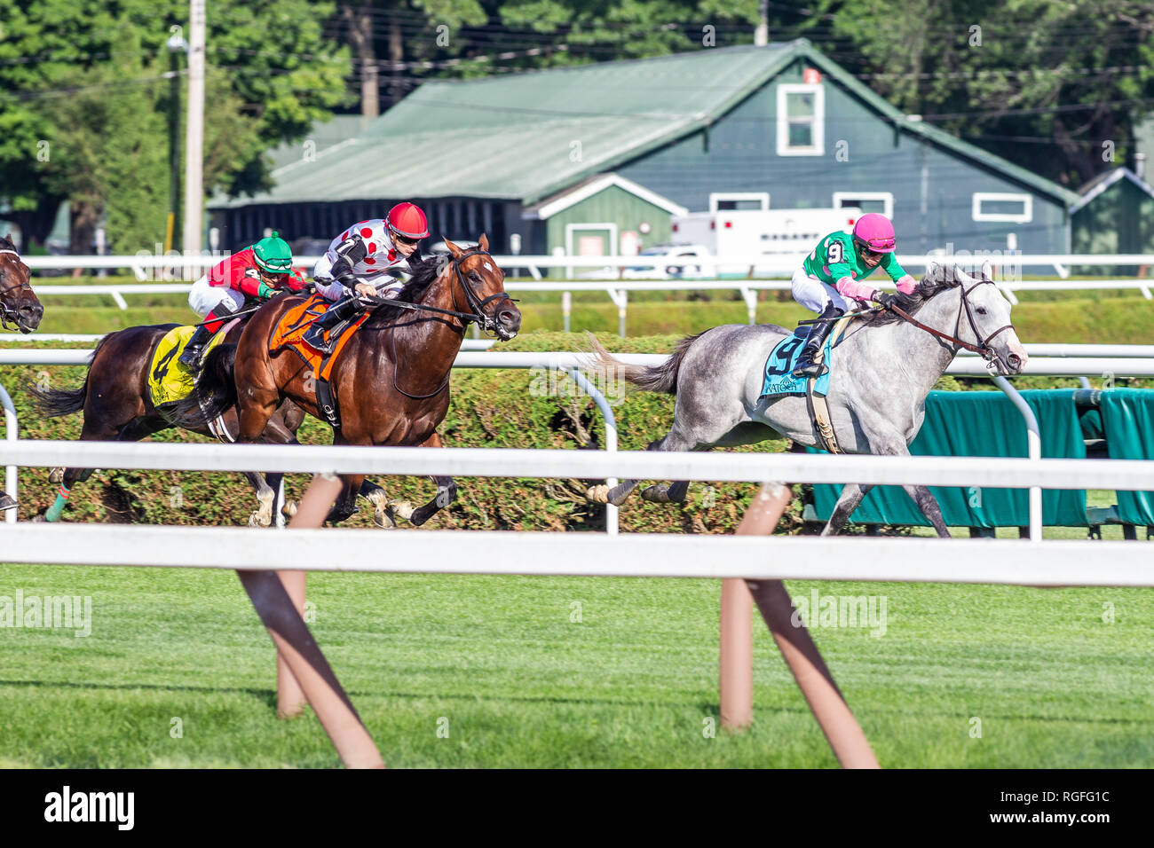 Horse and Jockey Racing Saratoga race track New York Stock Photo - Alamy