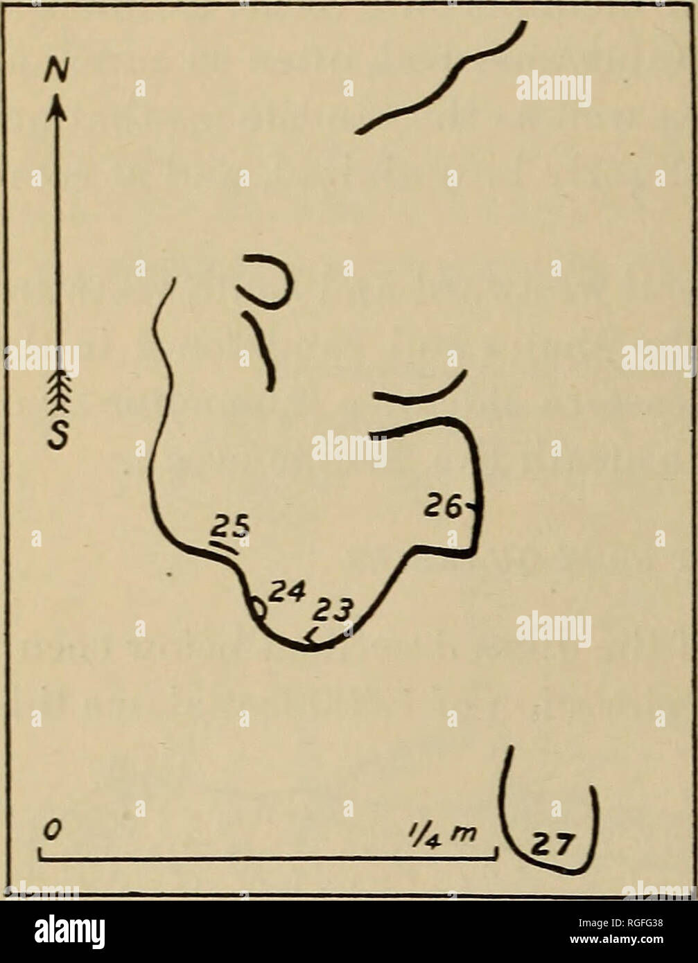 . Bulletin of the Geological Society of America. Geology. 238 J. F ...