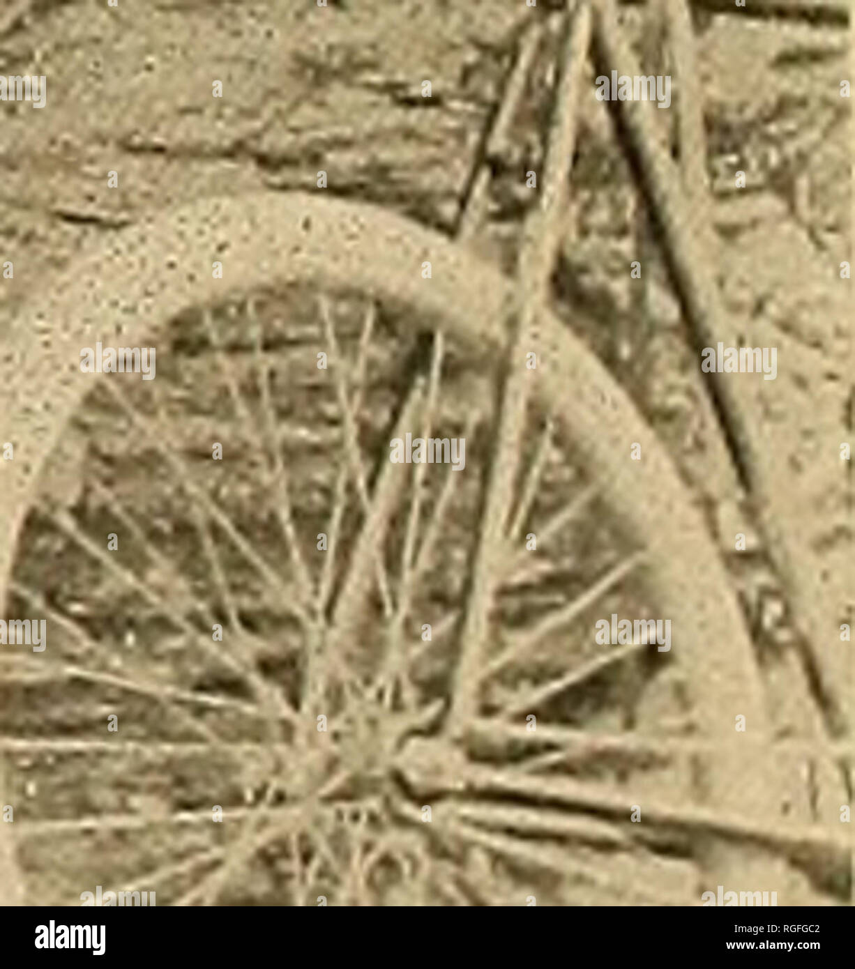 Concentric weathering hi-res stock photography and images - Alamy